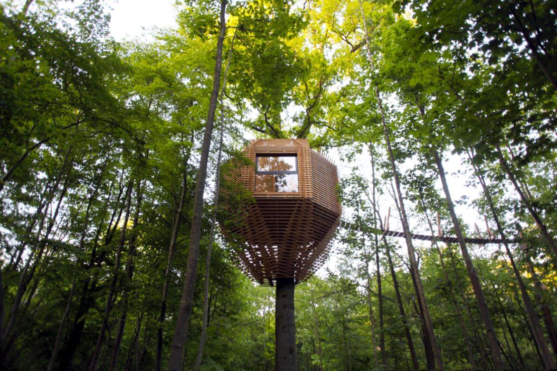 ORIGIN – This beautiful tree house is a real cocoon up in the trees